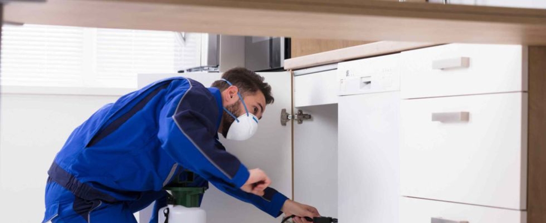 February 25, 2020 Salt Lake Pest Control Methods