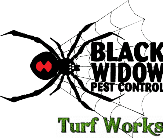 July 03, 2021 Termite Control In Utah