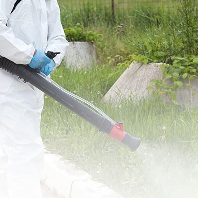 West Jordan Pest Control Services | Same-Day Appointments